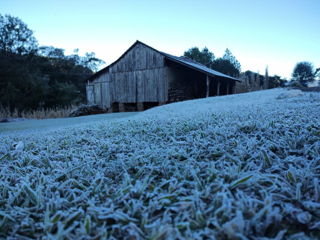 Geada em quase todo o Estado: RS terá fim de semana gelado, com mínimas ...